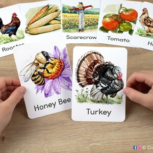 On the Farm Printable Flashcards. Farm Animals, Rural Life Flash Cards ...