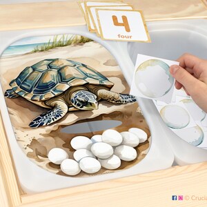 Sea Turtle Nest Flisat Insert: Egg Counting Activity for Sensory Table ...