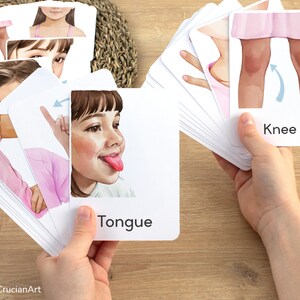 Body Parts 3-part Cards, Girl Version. Body Identification Printable ...