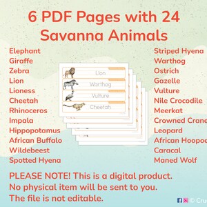 Savanna Grassland Animals Tracing Strips: Printable Educational ...