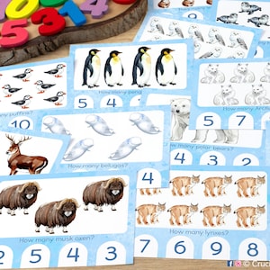 Polar Animals Count & Clip Cards. Printable Counting up to 12 Activity ...