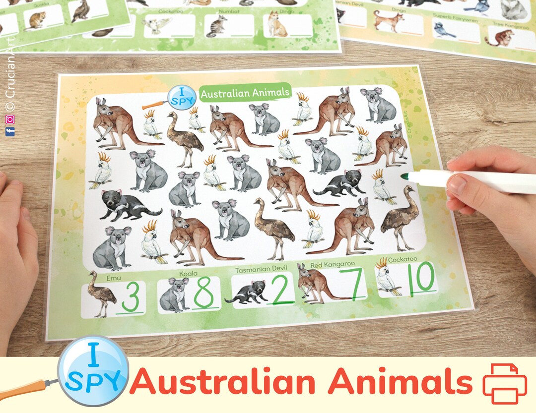 Australian Animals I Spy Counting Activity. Preschool Learning ...