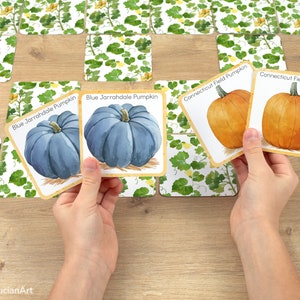 Pumpkin & Squash Memory Game: Printable Matching Activity. Autumn ...