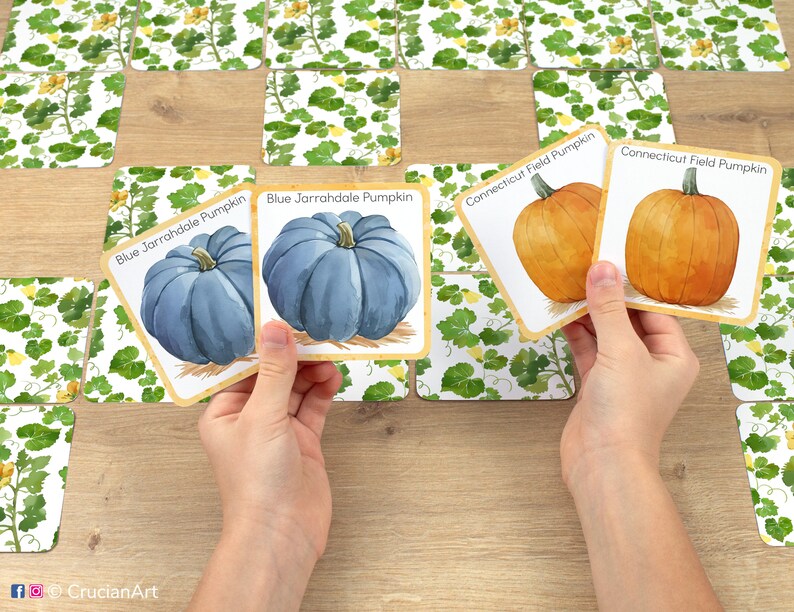 Pumpkin & Squash Memory Game: Printable Matching Activity. Autumn ...