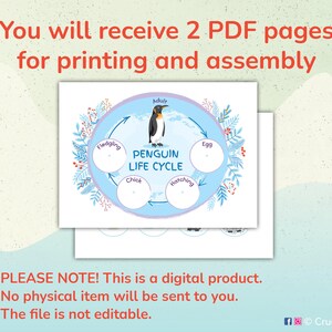 Life Cycle of a Penguin: Printable Learning Activity, Educational ...