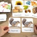 Fall Themed 3-part Cards: Visual Cards & Words Matching. Autumn ...