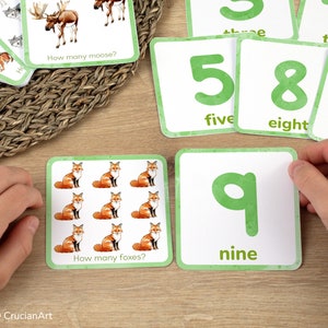 Woodland Animals Counting Activity: Printable Matching Cards. Preschool ...