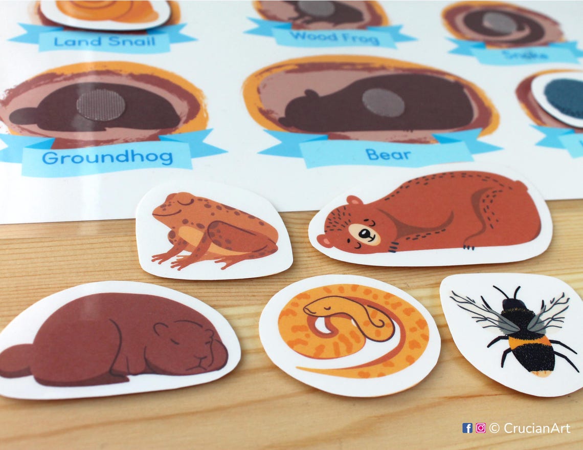 Animals That Hibernate: Hibernating Animal Silhouette Matching Activity ...