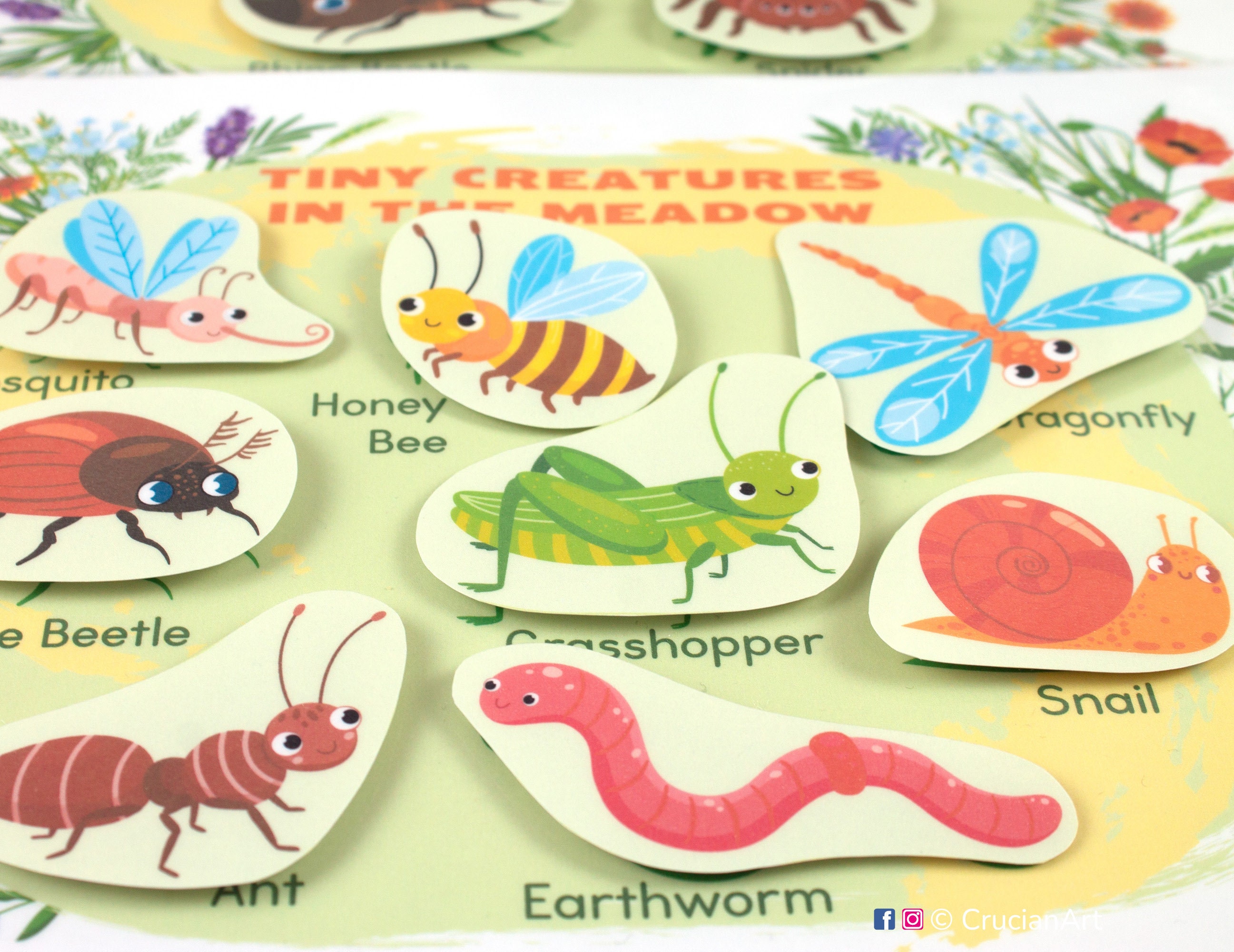 Little Creatures: Bugs & Insects Shadow Matching Activitiy. Printable ...