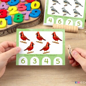 North American Backyard Birds Count & Clip Cards. Printable Homeschool ...