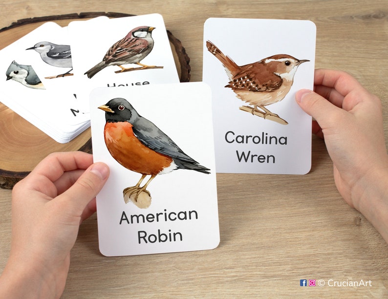 North American Backyard Birds Flash Cards. Printable Learning Materials ...