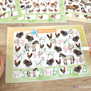 Farm Animals I Spy Counting Activity. Preschool Learning Worksheets ...