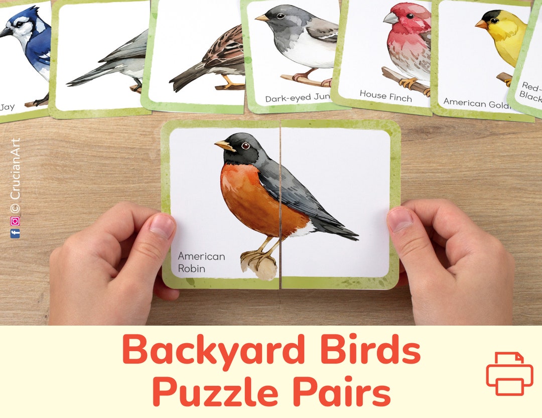 North American Backyard Birds Puzzle Pairs: Toddler Learning Activity ...