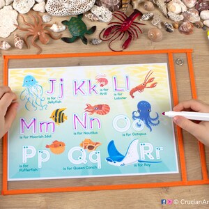 Ocean Alphabet Tracing Activity. Printable Uppercase and Lowercase Sea ...