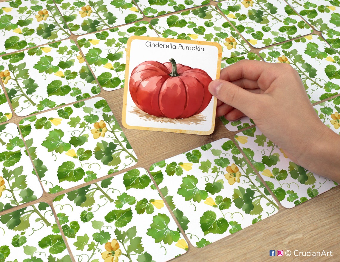 Pumpkin & Squash Memory Game: Printable Matching Activity. Autumn ...