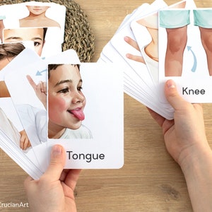 BOY & GIRL Versions Body Parts 3-part Cards. Body Identification ...