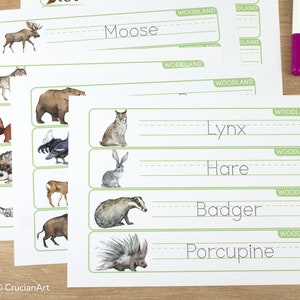Woodland Animals Tracing Strips: Printable Educational Activities ...