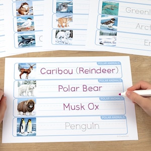 Arctic Animals Handwriting Worksheets: Printable Vocabulary Activity ...