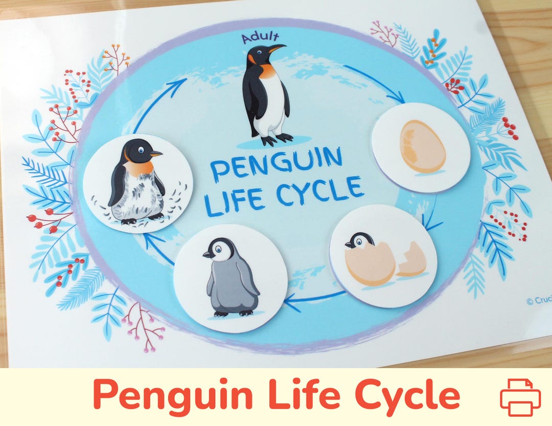 Life Cycle of a Penguin: Printable Learning Activity, Educational ...