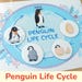 Life Cycle of a Penguin: Printable Learning Activity, Educational ...