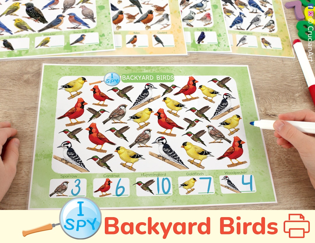 Backyard Birds I Spy Counting Activity. Preschool Learning Worksheets ...