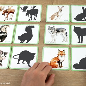 Woodland Animals Shadow Matching Activity: Toddler Printable Match ...