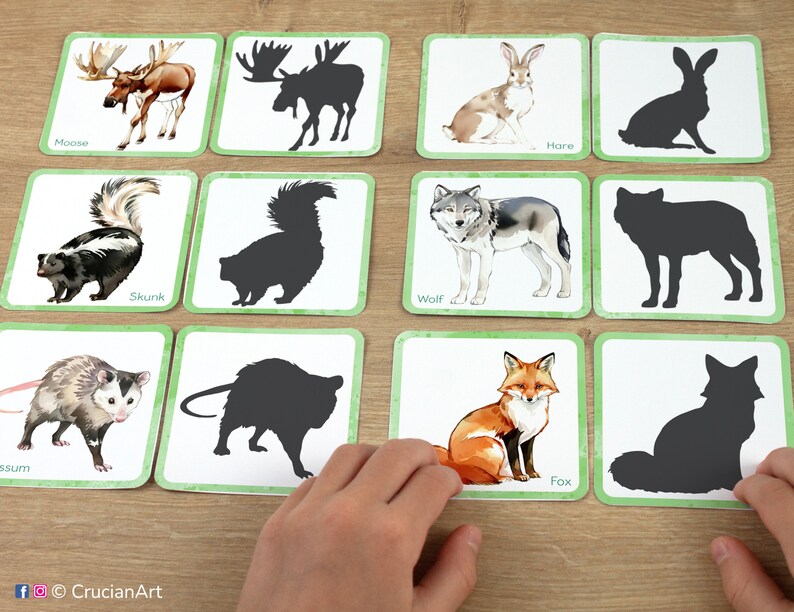 Woodland Animals Shadow Matching Activity: Toddler Printable Match ...