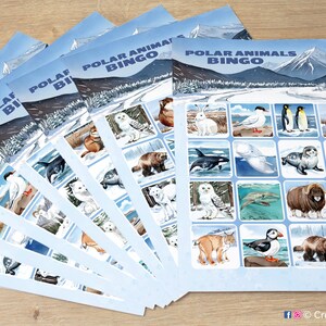 Polar Animals Bingo Game: Printable Preschool, Kindergarten, Toddler ...