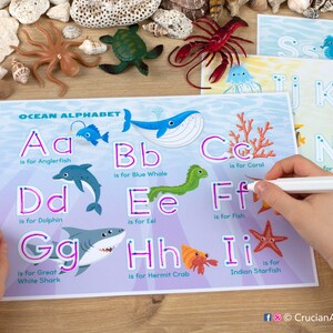 Ocean Alphabet Tracing Activity. Printable Uppercase and Lowercase Sea ...