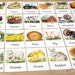 Farm Themed Bingo Game: Printable Preschool, Kindergarten, Toddler ...