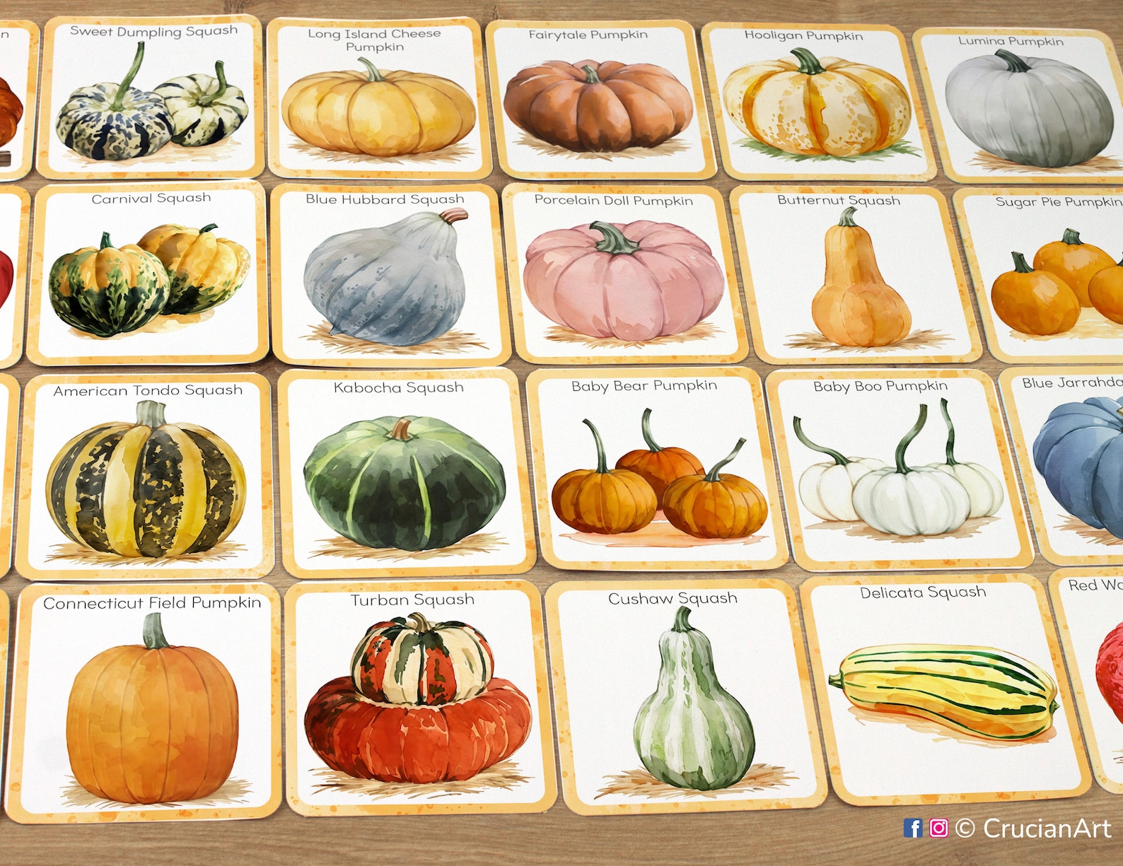 Pumpkin & Squash Memory Game: Printable Matching Activity. Autumn ...