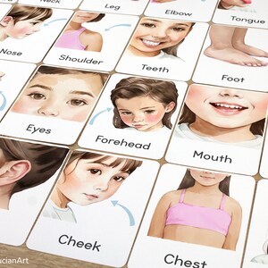 Body Parts 3-part Cards, Girl Version. Body Identification Printable ...