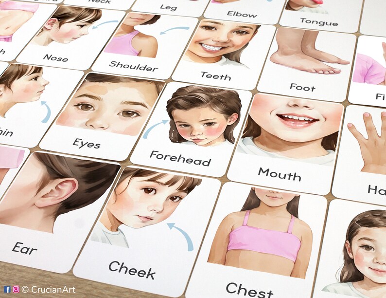 Body Parts 3-part Cards, Girl Version. Body Identification Printable ...