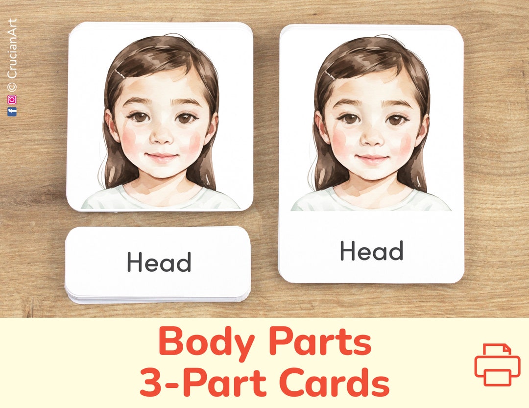 Body Parts 3-part Cards, Girl Version. Body Identification Printable ...