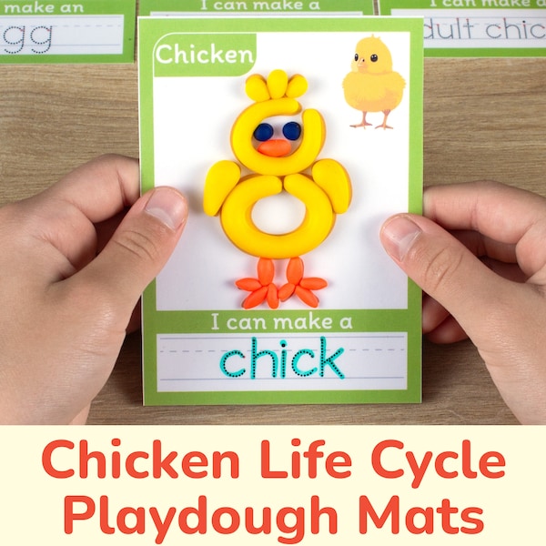 Playdough Life Cycle - Etsy