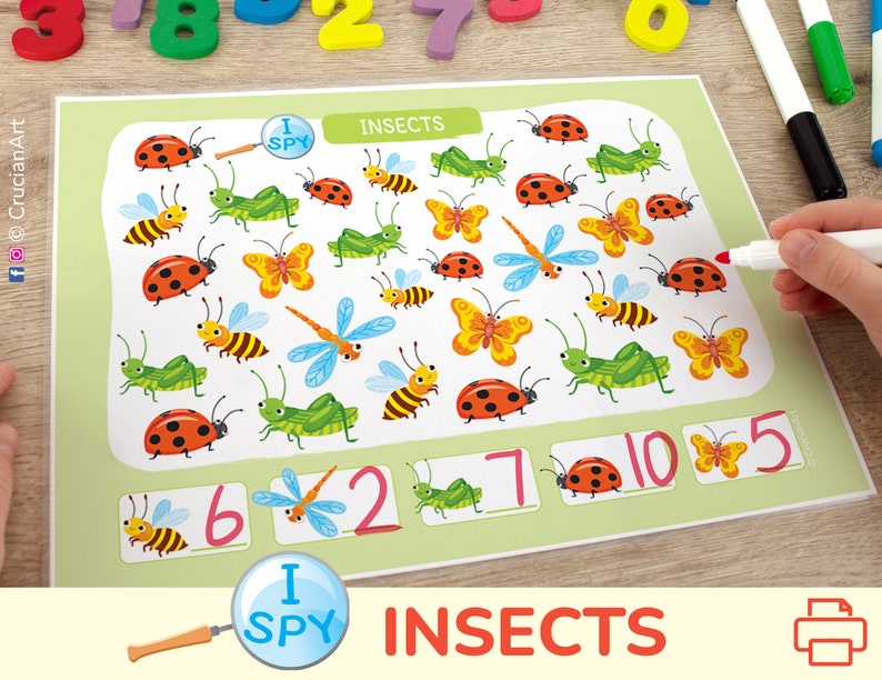 Bugs & Insects I Spy Counting Activity. Preschool, Pre-k, Kindergarten ...