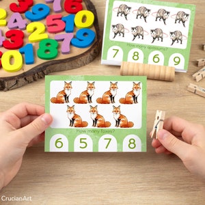 Woodland Animals Count & Clip Cards. Printable Counting up to 12 ...