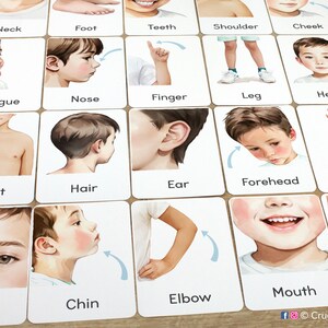 BOY & GIRL Versions Body Parts 3-part Cards. Body Identification ...