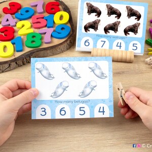 Polar Animals Count & Clip Cards. Printable Counting up to 12 Activity ...