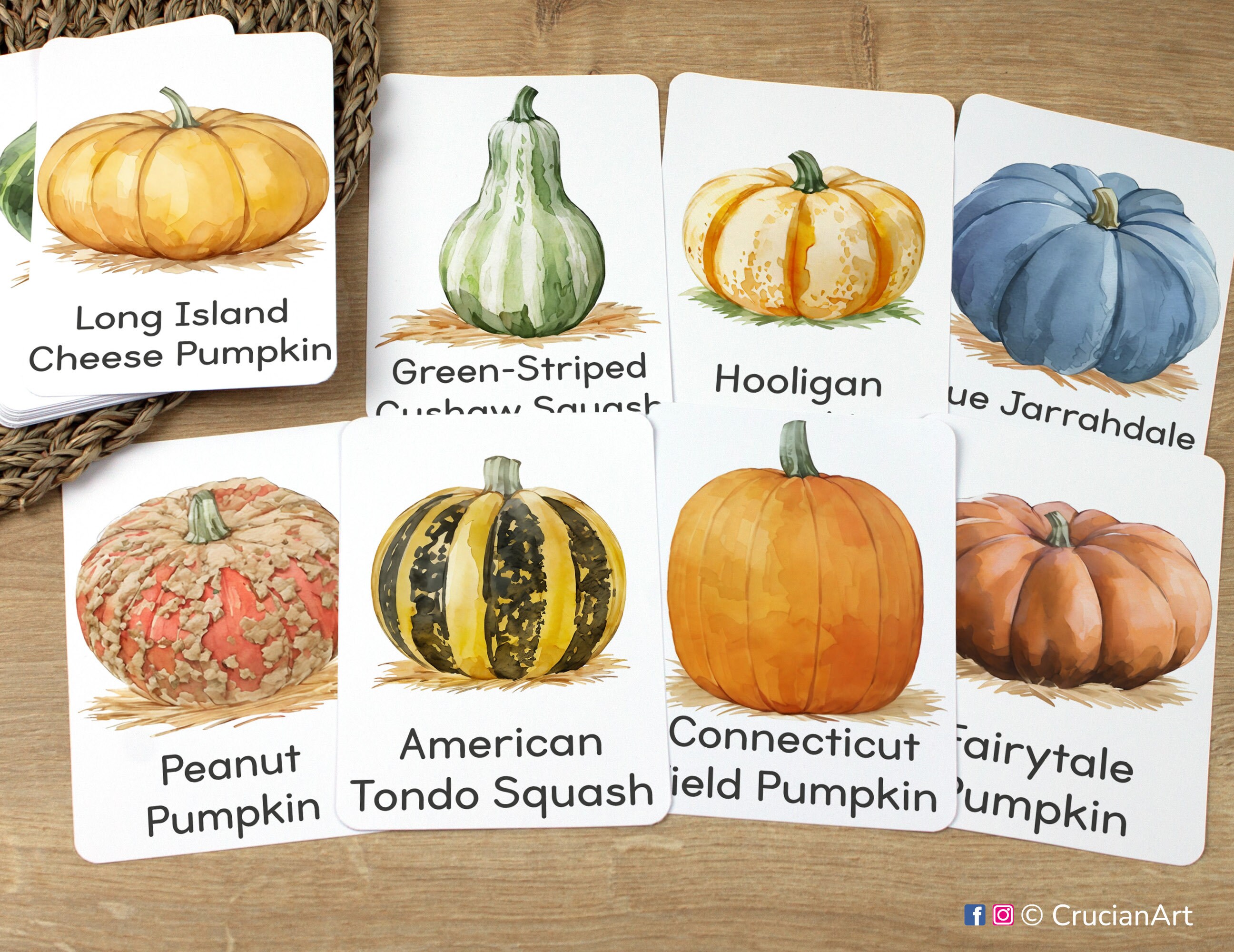 Pumpkin & Squash Flashcards: Seasonal Visual Cards for Fall Education ...