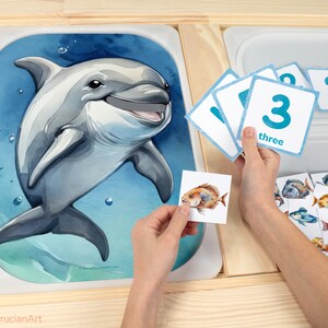 Feed the Dolphin Fish Flisat Insert: Counting up to 12 Ocean Printable ...