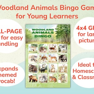 Woodland Animals Bingo Game: Printable Preschool, Kindergarten, Toddler ...