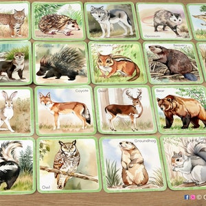Woodland Animals Memory Game: Printable Toddler Preschool Kindergarten ...