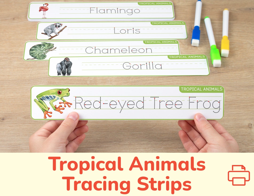 Tropical Animals Tracing Strips: Printable Educational Worksheets ...