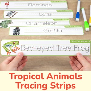 Tropische Tiere Tracing Strips: Druckbare pädagogische Arbeitsblätter ...