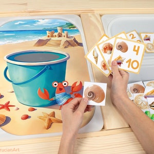 Seashells Flisat Insert: Sort and Count to 12 Summer Beach Printable ...