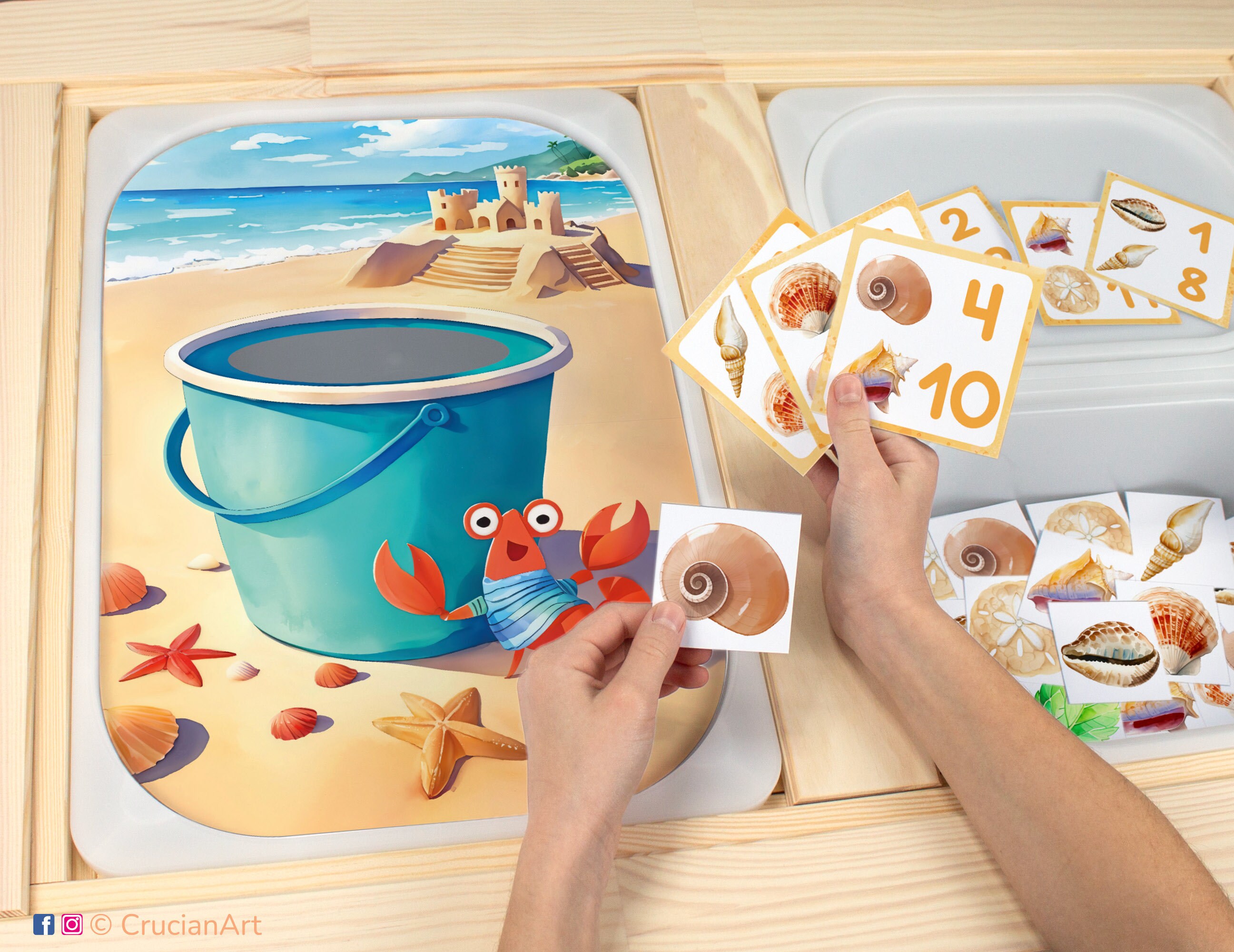Seashells Flisat Insert: Sort and Count to 12 Summer Beach Printable ...