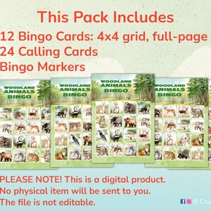Woodland Animals Bingo Game: Printable Preschool, Kindergarten, Toddler ...