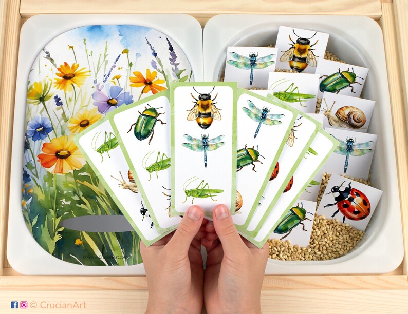Meadow Insects Flisat Insert: Matching Activity for Sensory Table ...