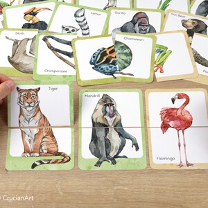 Tropical Rainforest Animals Puzzle Pairs: Printable Match Cards ...